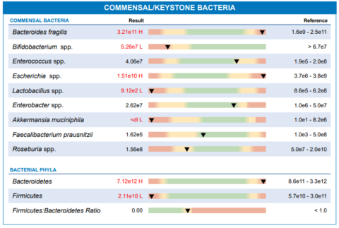 GI-MAP® with Zonulin Test | Gut Health & Leaky Gut Insights